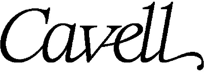 Customizable Travel Insurance Plans | Cavell Risk | battleface